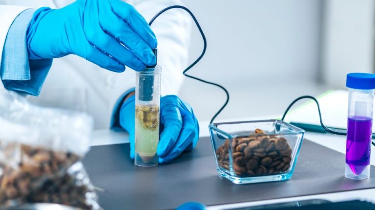 Choosing the Right pH Buffer Solution for Accurate Lab Results - Bizz ...